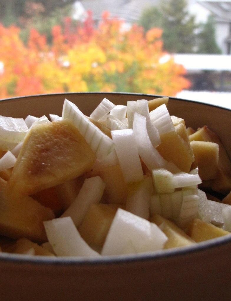 Butternut Squash & Quince Soup with Farmhouse Bread – GUTSy Performance ...